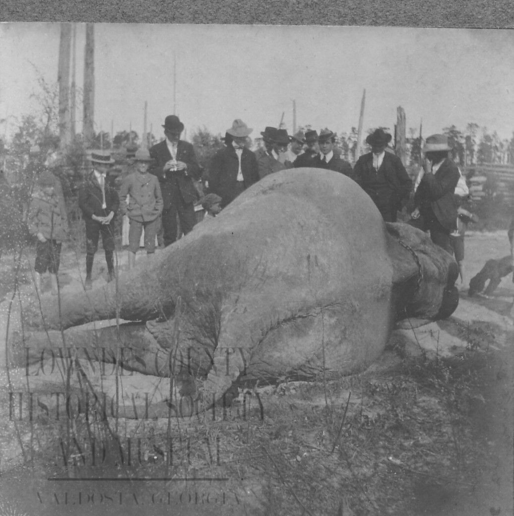 Gypsy the Circus Elephant: A Valdosta Legend | Lowndes County Museum